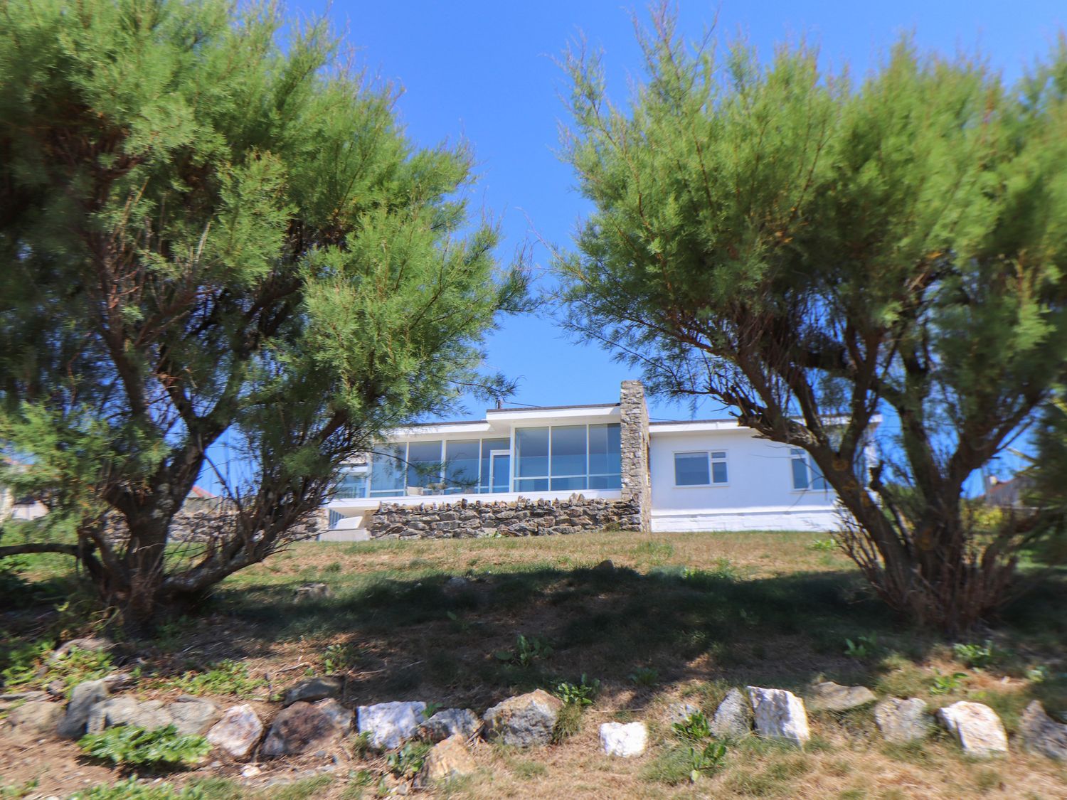 Bird Watching In Cornwall | Bird Spot