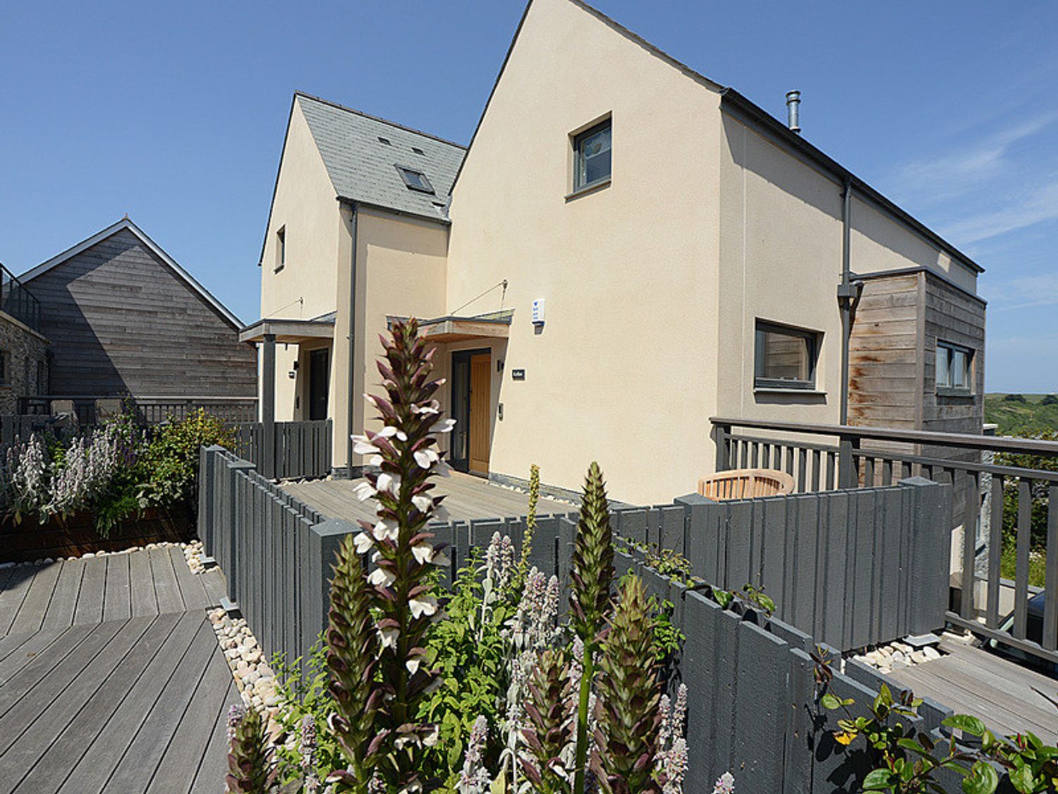 Albert House, Looe | Bird Spot
