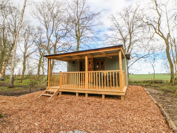 Bracken Fern | Eppleby | Aldbrough Beck | Yorkshire Dales | Self ...