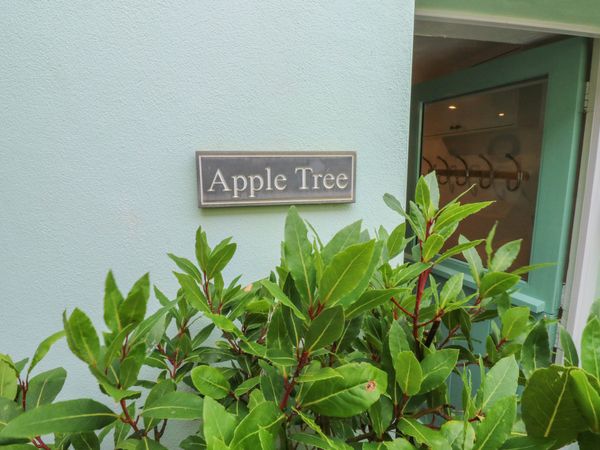 Apple Tree Cottage | Appledore | Self Catering Holiday Cottage