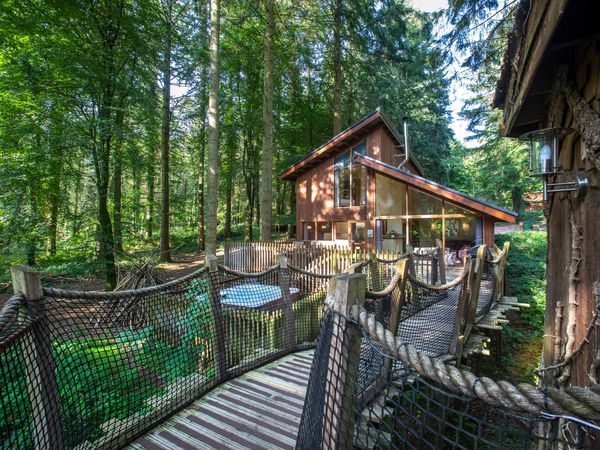 Forest Of Dean Woodland - Golden Oak Treehouse | Forest Of Dean ...