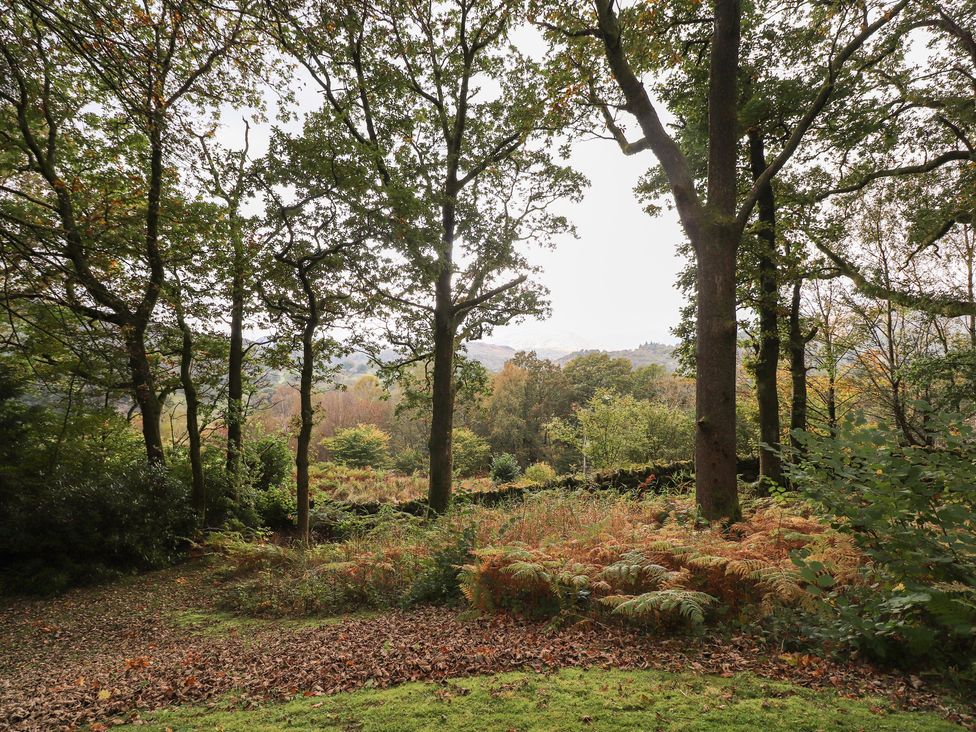 Puddleduck | Chapel Stile | Mill Brow | The Lake District And Cumbria ...